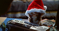 Gremlins GIFs - Get the best gif on GIFER