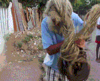 Dreadlocks GIFs - Get the best gif on GIFER