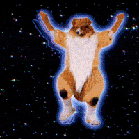 Dialing GIFs - Get the best gif on GIFER