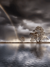 Mar GIFs - Get the best gif on GIFER