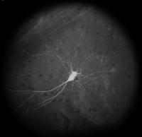 Separated GIFs - Get the best gif on GIFER