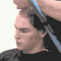 Haircut GIFs - Get the best gif on GIFER