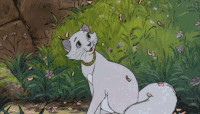 Duchess GIFs - Get the best gif on GIFER