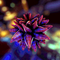 Squishy GIFs - Get the best gif on GIFER