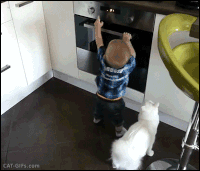 Push GIFs - Get the best gif on GIFER