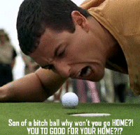 Golf GIFs - Get the best gif on GIFER