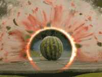 Watermelon GIFs - Get the best gif on GIFER