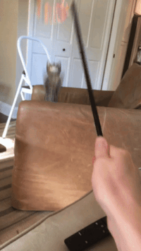 Sniffles GIFs - Get the best gif on GIFER