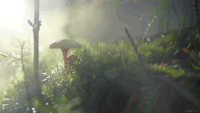 Fog GIFs - Get the best gif on GIFER
