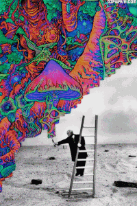 Surreal GIFs - Get the best gif on GIFER