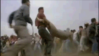 Combat GIFs - Get the best gif on GIFER