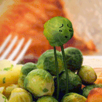 Fart GIFs - Get the best gif on GIFER