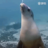 Runny nose GIF - Conseguir o melhor gif em GIFER