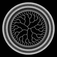 Processing GIFs - Get the best gif on GIFER