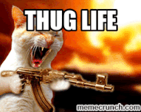 Thugs GIFs - Get the best gif on GIFER