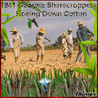 Cotton GIFs - Get the best gif on GIFER