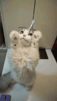 Antenna GIFs - Get the best gif on GIFER