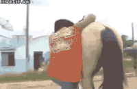 Mounting GIFs - Get the best gif on GIFER