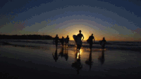 Surfer GIFs - Get the best gif on GIFER