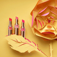 Ysl GIFs - Get the best gif on GIFER