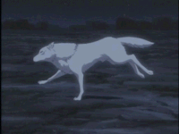 Zorro GIFs - Get the best gif on GIFER