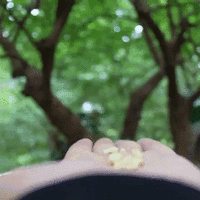 Natural GIFs - Get the best gif on GIFER