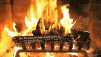 Warm GIFs - Get the best gif on GIFER