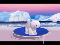 Trampoline GIFs - Get the best gif on GIFER