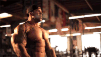 Pecs GIFs - Get the best gif on GIFER