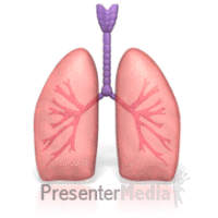 Breathing GIFs - Get the best gif on GIFER