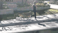 Duties GIFs - Get the best gif on GIFER