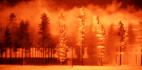 War GIFs - Get the best gif on GIFER