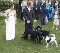 Territory GIFs - Get the best gif on GIFER