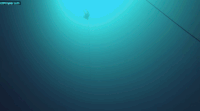 Dive GIFs - Get the best gif on GIFER
