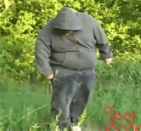 Хромает GIFs - Get the best gif on GIFER