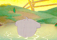 Dumbo GIFs - Get the best gif on GIFER