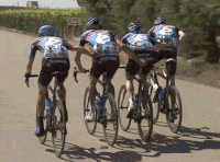 Team GIFs - Get the best gif on GIFER