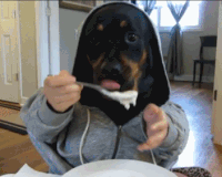 Lunch GIFs - Get the best gif on GIFER