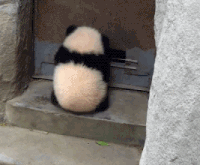 Block GIFs - Get the best gif on GIFER
