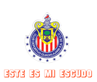 Chiva GIFs - Get the best gif on GIFER