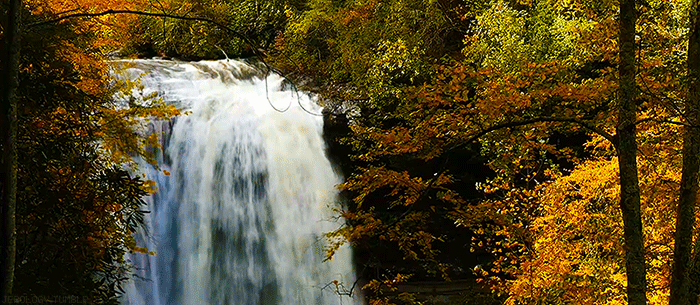 Autumn colors GIF - Conseguir o melhor gif em GIFER