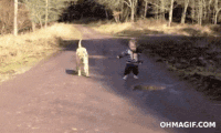 Leash GIFs - Get the best gif on GIFER