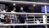 Knock GIFs - Get the best gif on GIFER