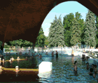 Hungary GIFs - Get the best gif on GIFER