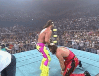 Wcw GIFs - Get the best gif on GIFER