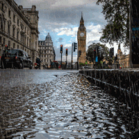 Rain GIFs - Get the best gif on GIFER