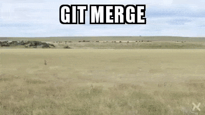 Merge GIFs - Get the best gif on GIFER