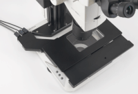 Microscopes GIFs - Get the best gif on GIFER