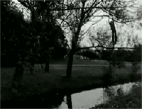 Adaptation GIFs - Get the best gif on GIFER