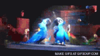 Rio GIFs - Get the best gif on GIFER